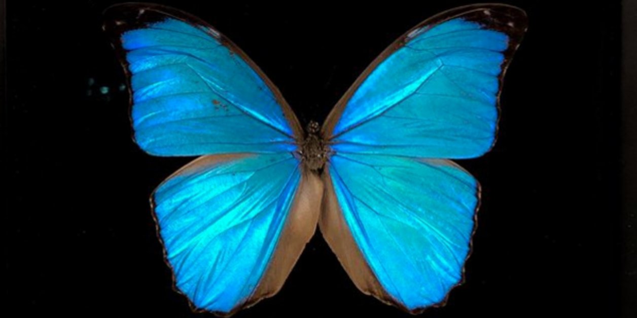 Apple Watch Designer Imran Chaudhri teilt zum Jubiläum die ersten ...